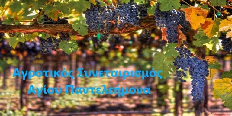 Ευχαριστήριο του Αγροτικού Συνεταιρισμού Αγίου Παντελεήμονα